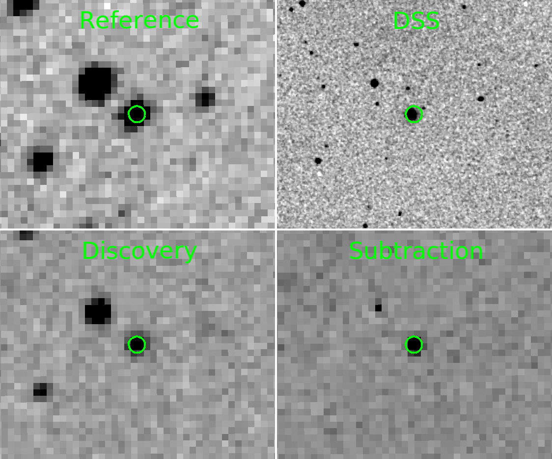 APOW: Assassin Picture of the Week